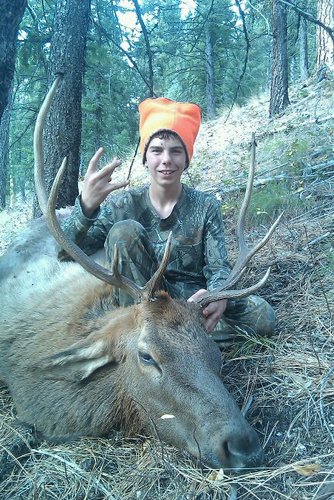 Sawtooth Elk | Hunt Talk