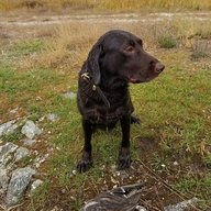 Vortex LRBC shutting down... | Hunt Talk