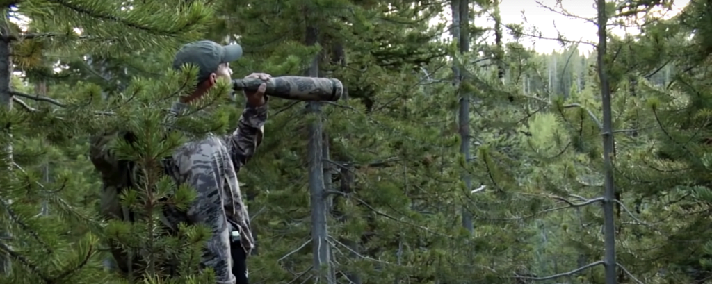 Elk Calling Basics with World Champion Elk Caller Corey Jacobsen ...