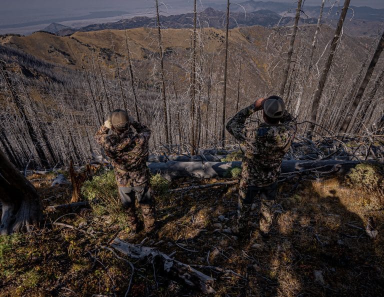 Hunting in New Mexico : 2025 Application Guide - Hunttalk Strategy Guide