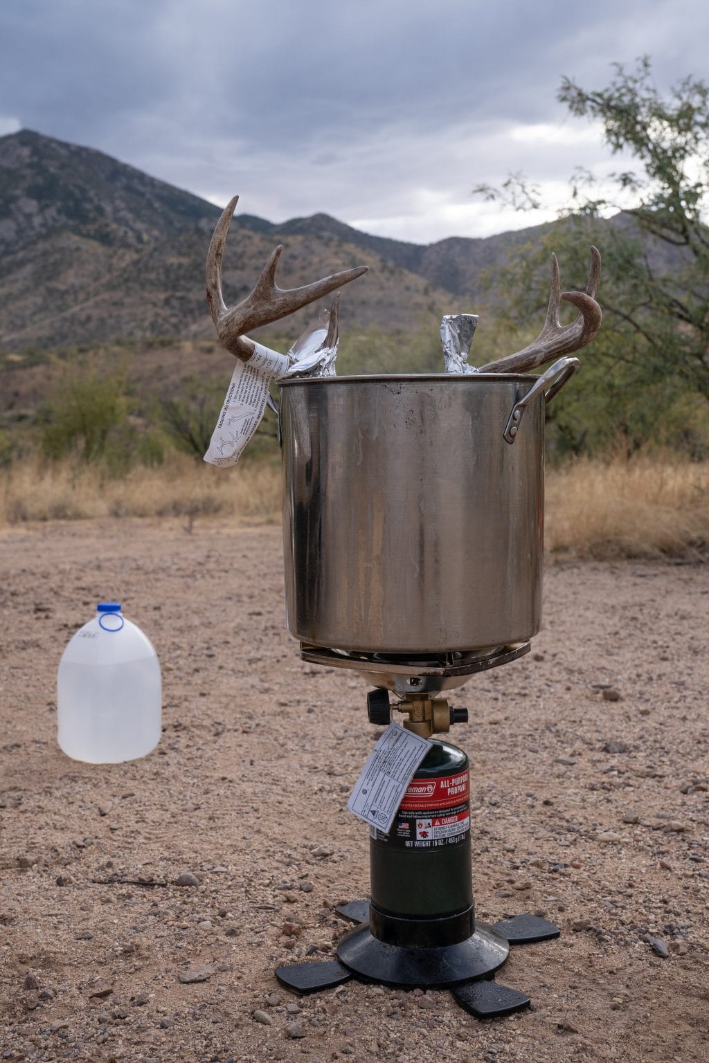 Flying to Hunt: Tips for Traveling with Firearms, Meat, and Rental Rigs ...