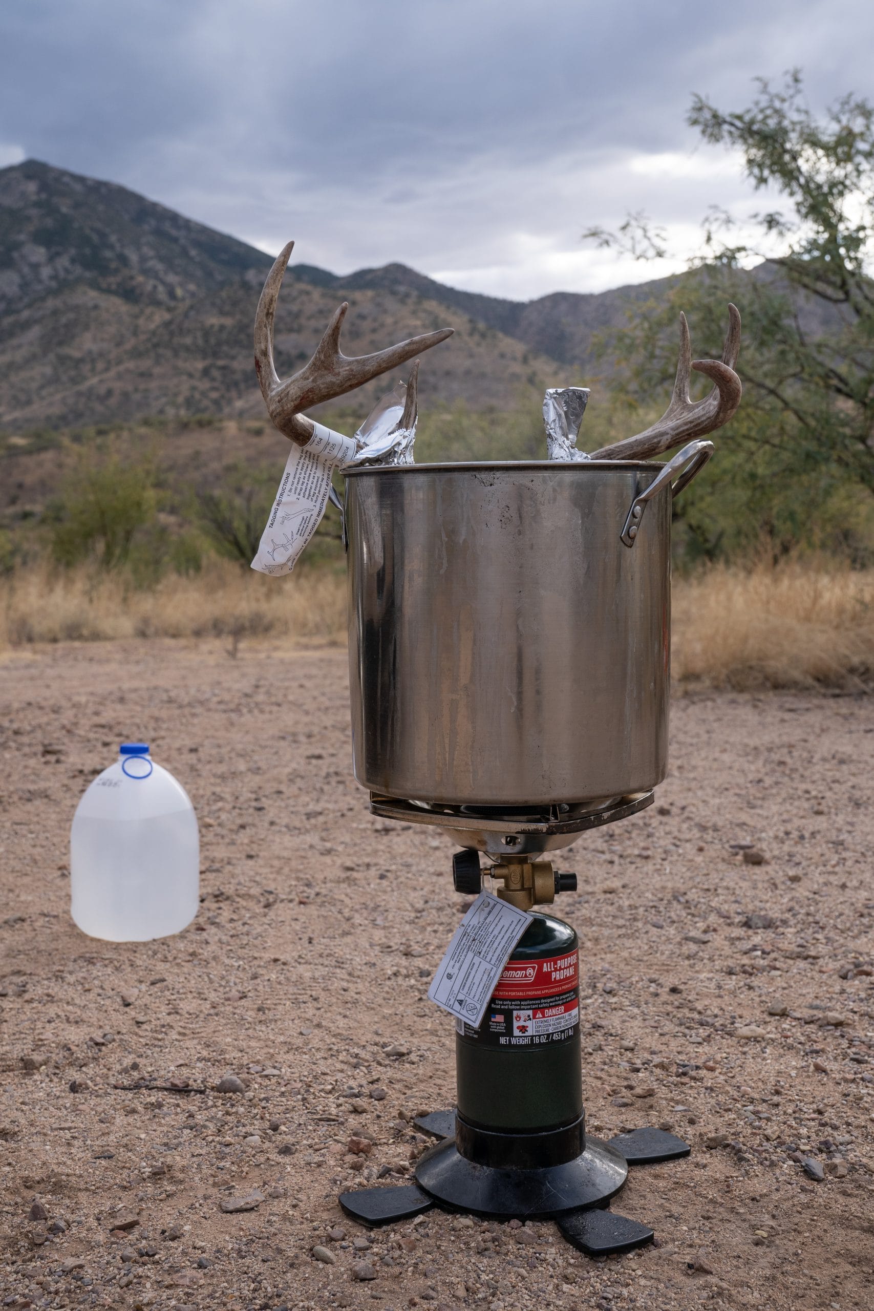 Flying to Hunt: Tips for Traveling with Firearms, Meat, and Rental Rigs ...